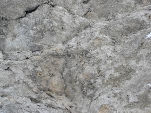 rough ground textures - Texturelib